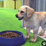 100 Years Life Simulator Online - Play 100 Years Life Simulator Online ...